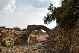 A visit to the magnificent Roman ruins of Dara